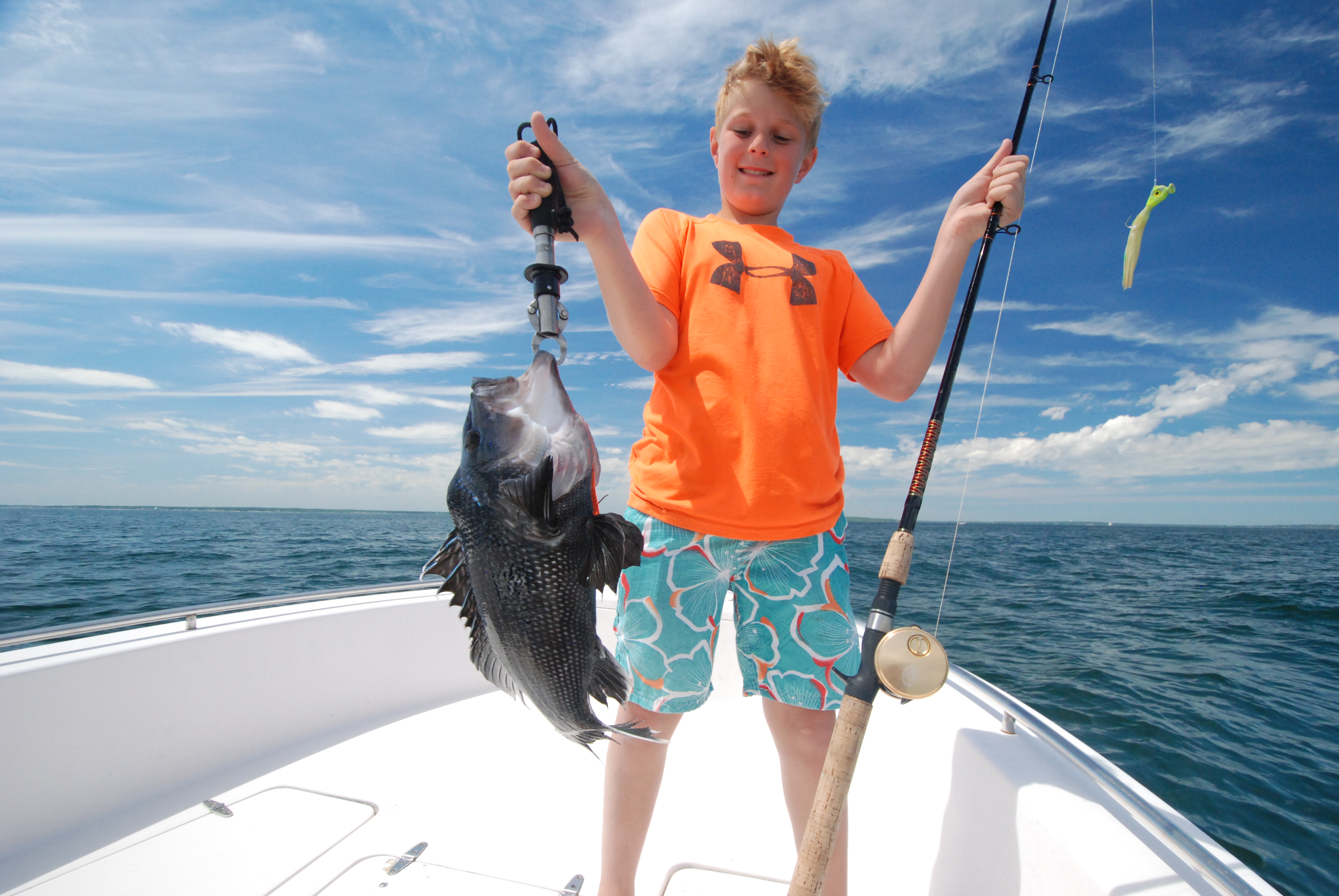 Sea Bass Bonanza Explore New England Sea Bass Bonanza Explore New England