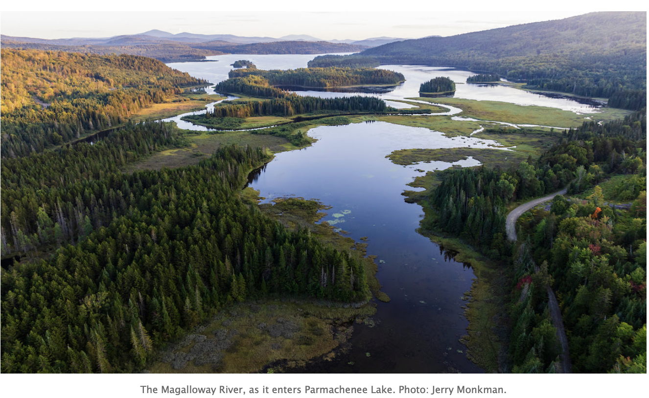 New Collaborative Aims to Protect 78K Acres in Northwest Maine ...